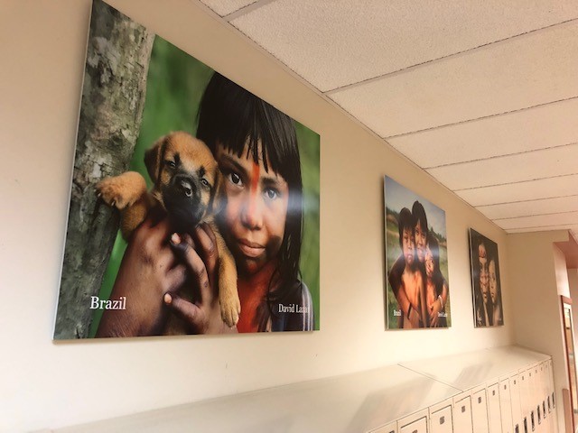 Giaudrone Middle School – Besharat Arts Foundation